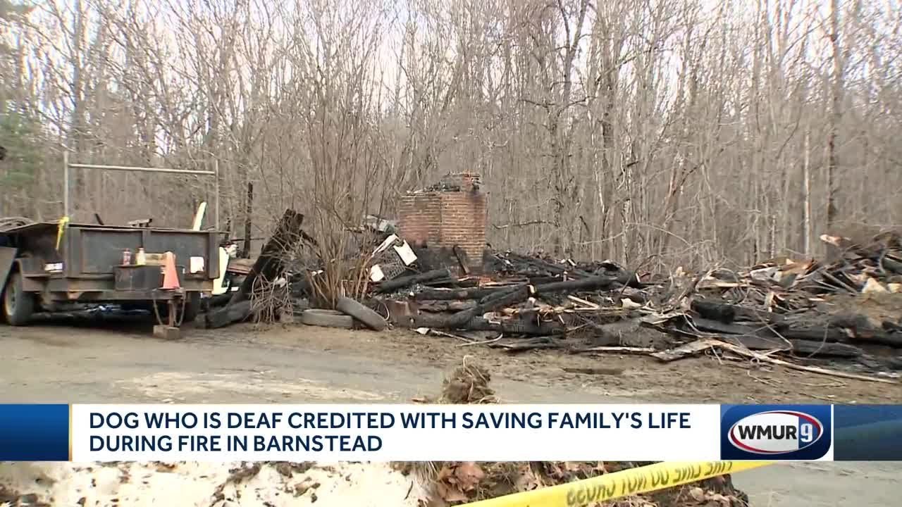 Family saved by fire in Barnstead because of dog - YouTube