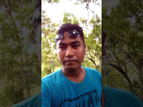 Ngintip lagi mesum dihutan