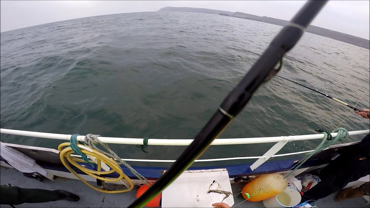 whitby uptiding festival for Cod 17th November 2018 - YouTube