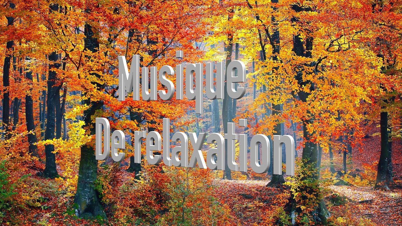 Musique de relaxation "Balade en forêt" apprivoiser ses émotions - YouTube