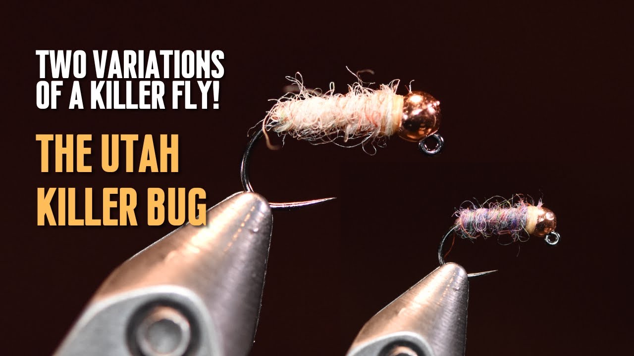 Tying the Utah Killer Bug and Catching Wild Browns! - YouTube