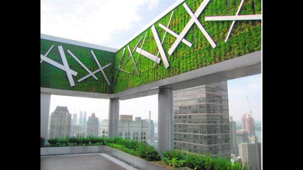 George Irwin Revolutionizing Buildings with Green Walls! - YouTube