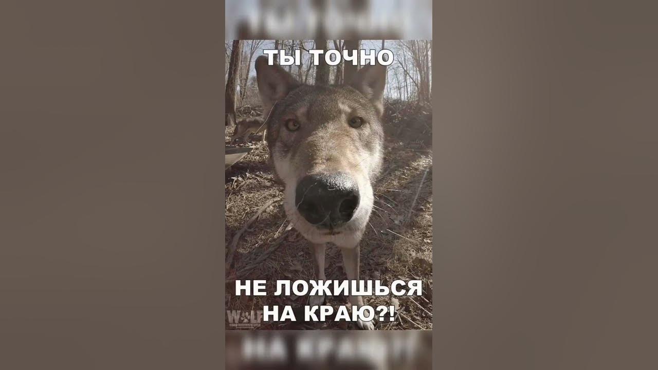 я вор 228 - YouTube