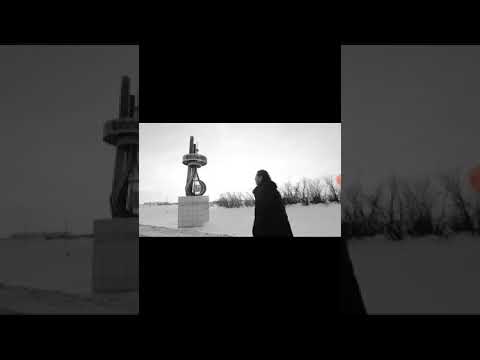 Фонтанчик с черным дельфином