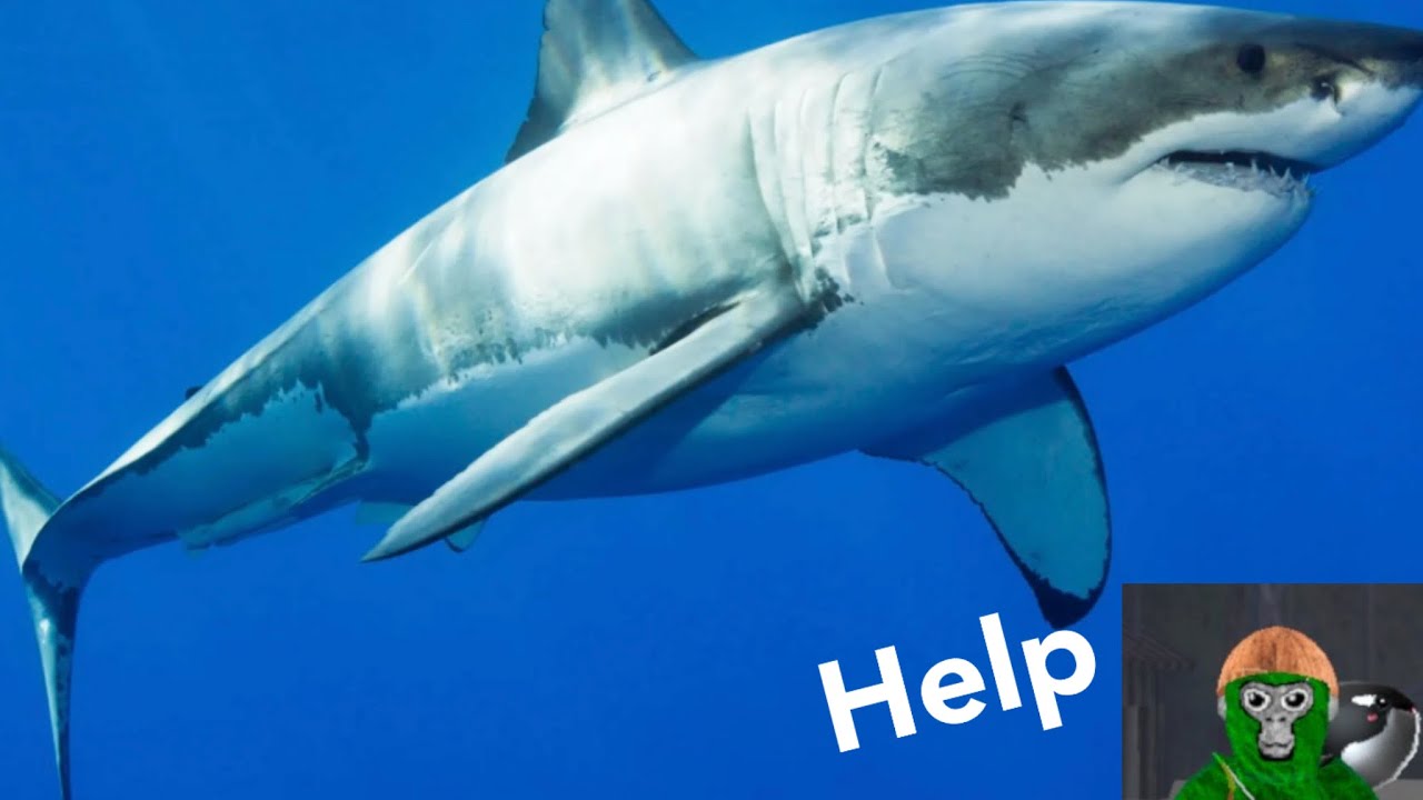 NEW GORILLA TAG SHARK UPDATE - YouTube