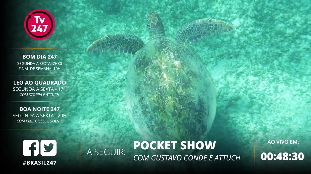 TV 247 AO VIVO | 20/07/2018 - YouTube