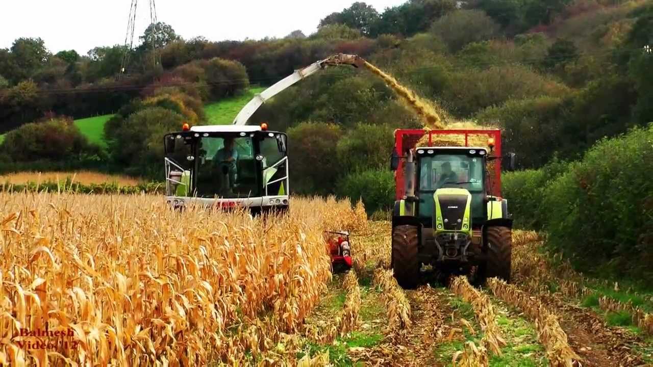 Maize Harvest with Phil. and his Jag. - YouTube