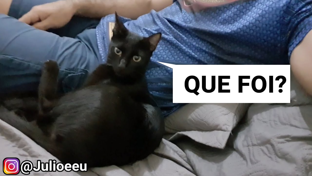 YouTuber que odeia câmera 🤦🏻‍♂️ | Júlio e Eu 😾🧔🏻 - YouTube