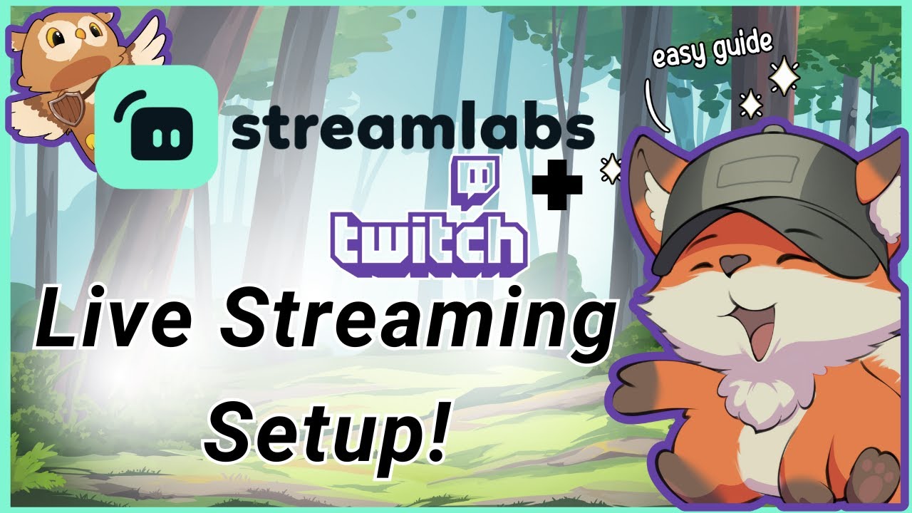 How to Use Streamlabs for Twitch: Easy Setup, Monetization Tools ...