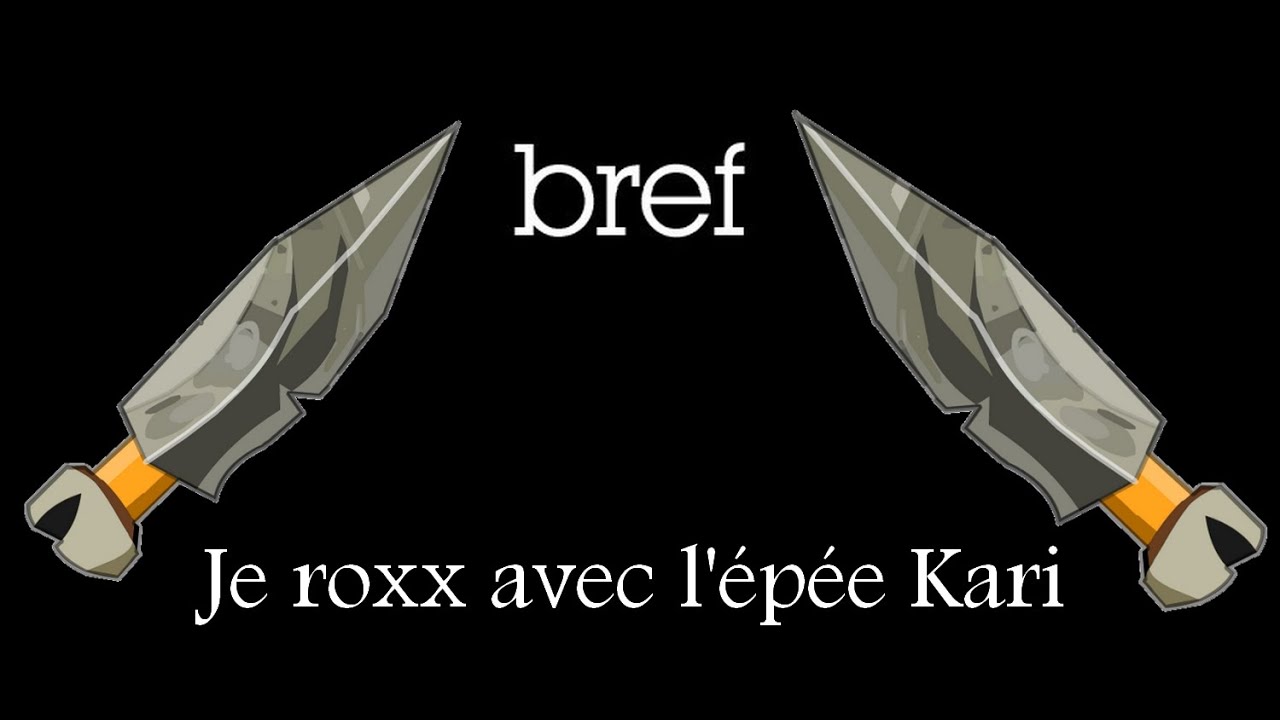 Dofus : Bref Je roxx à l'épée Kari - YouTube