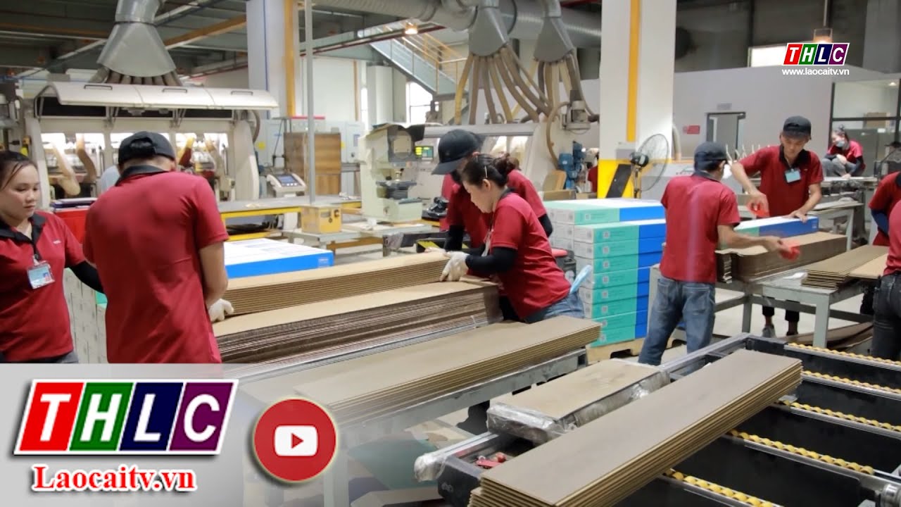 Đề xuất thưởng Tết trước ít nhất 20 ngày | THLC - YouTube