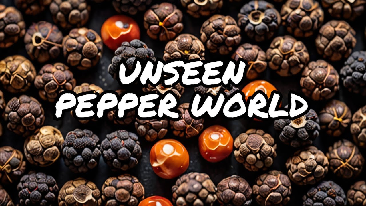 The Hidden World of Black Pepper Grain Under a Microscope! 🔬 - YouTube
