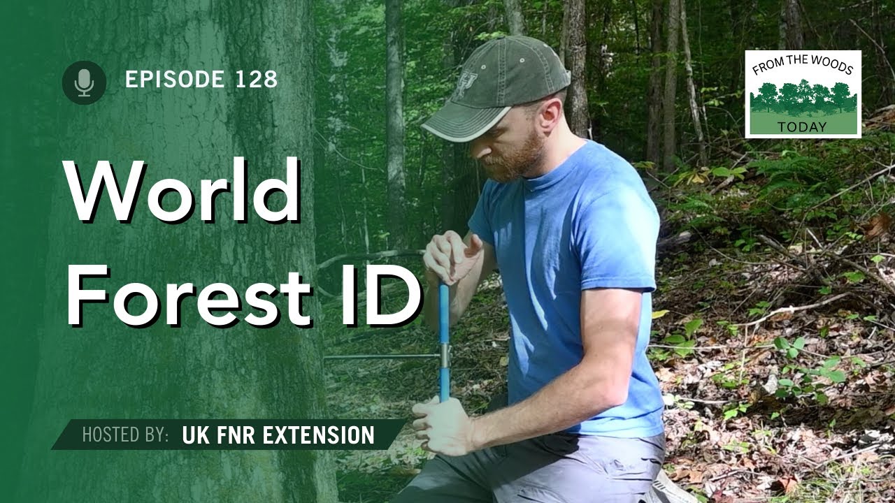 World Forest ID - From the Woods Today - Episode 128 - YouTube