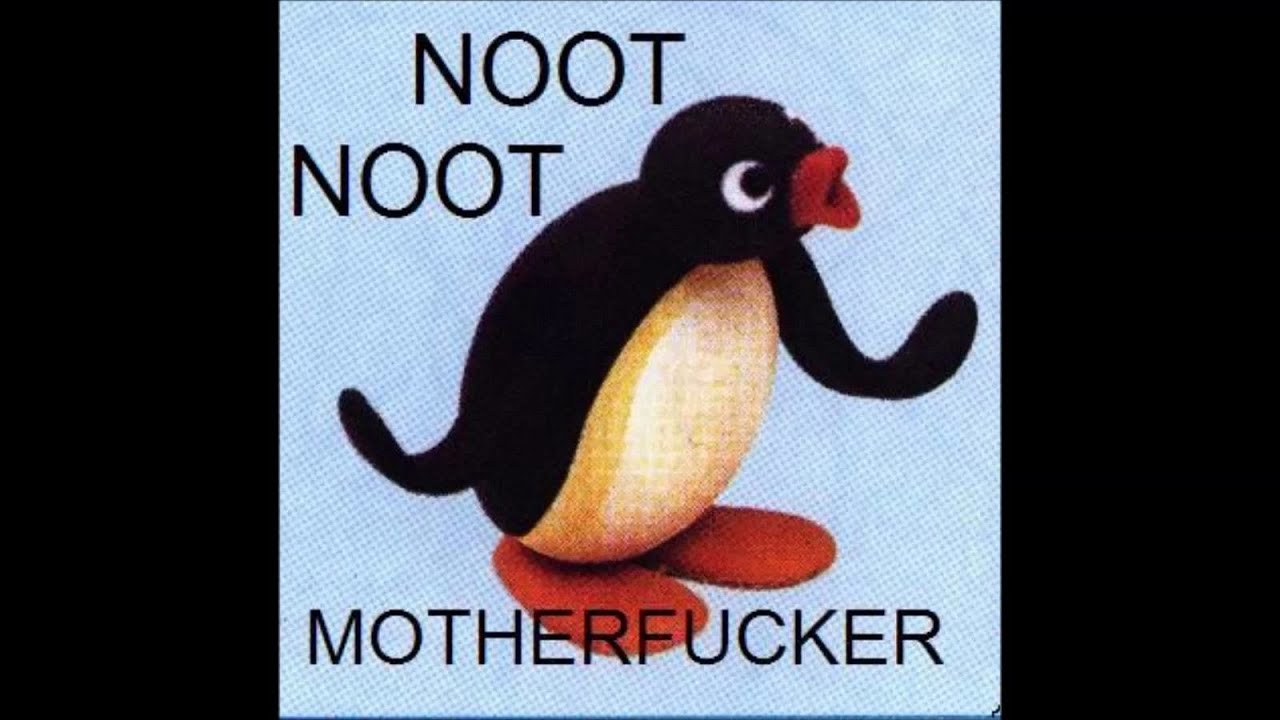 Noot Noot - YouTube