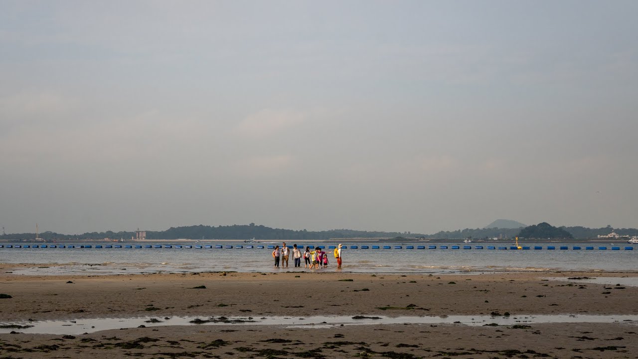 Intertidal Walk @ Changi Beach - YouTube