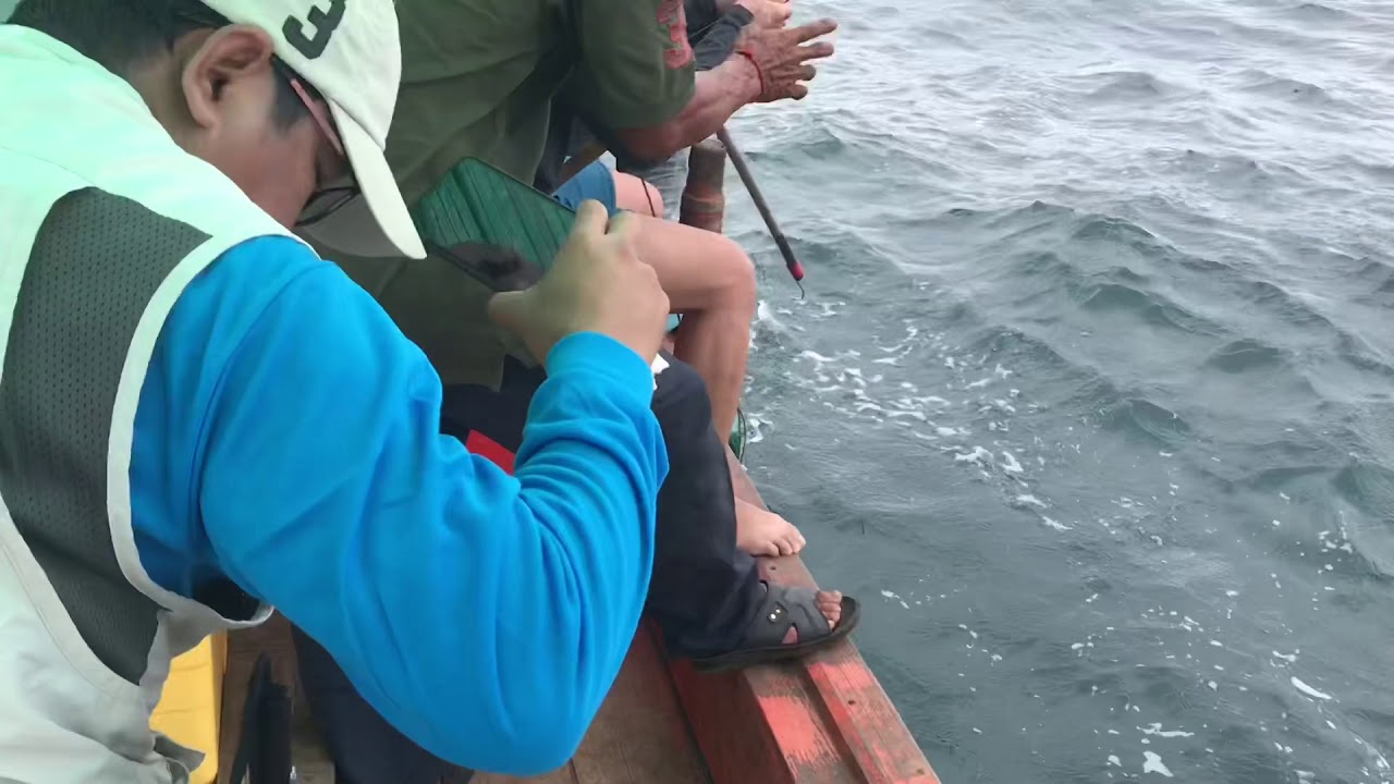 Amazing 28kg Fish ever caught in Koh Sdach, Koh Kong by Siem Reap Fish ...