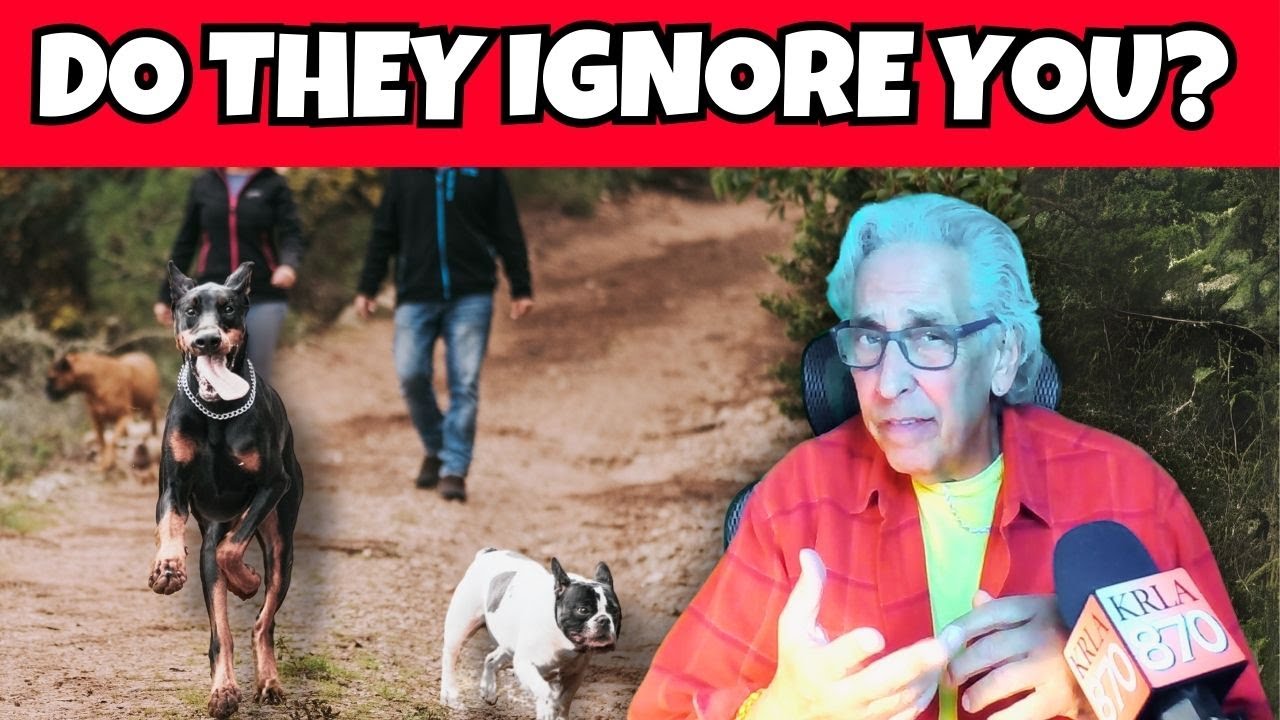 This is Why DOGS IGNORE YOU on Walks. - YouTube