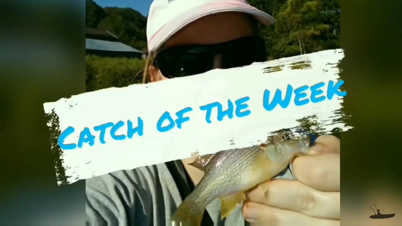Catch of the week ep 8 - YouTube