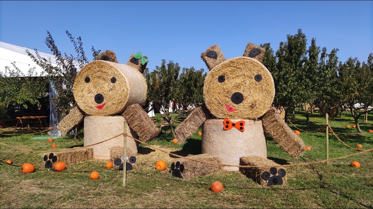 Villaggio delle Zucche di Nonno Andrea - YouTube