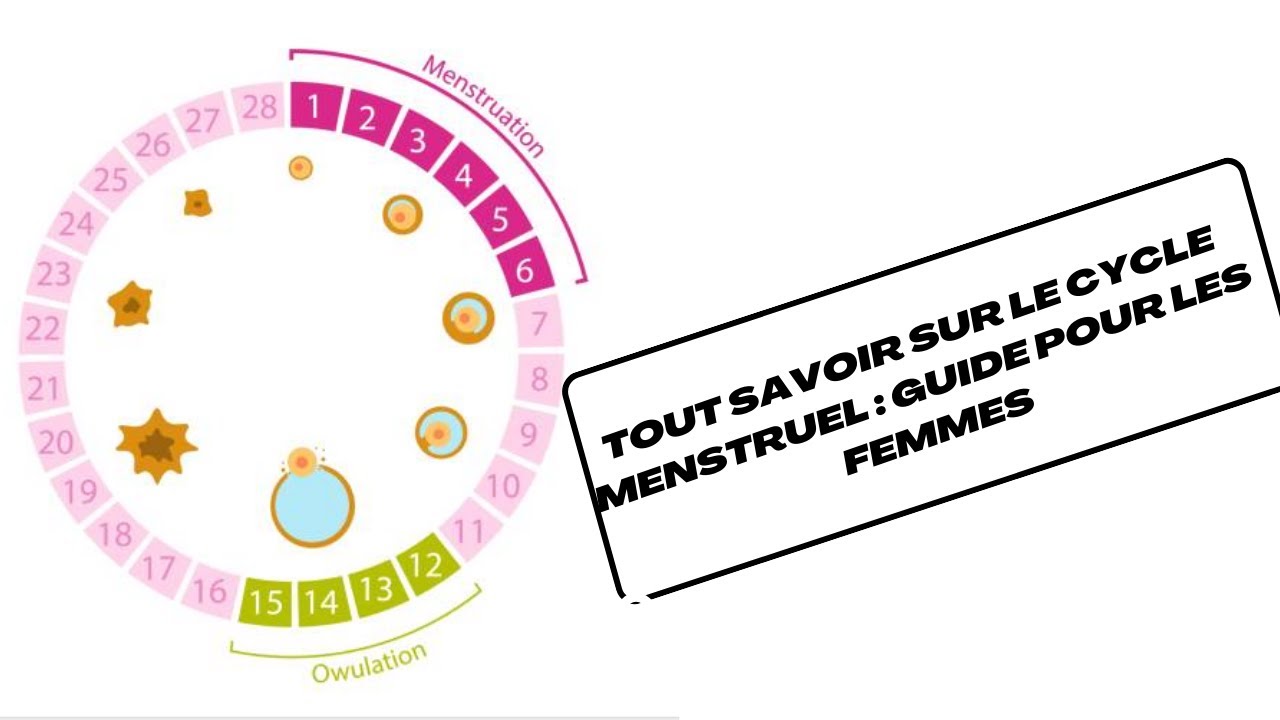 Le Cycle Menstruel Le Plus Long at Cameron Nona blog