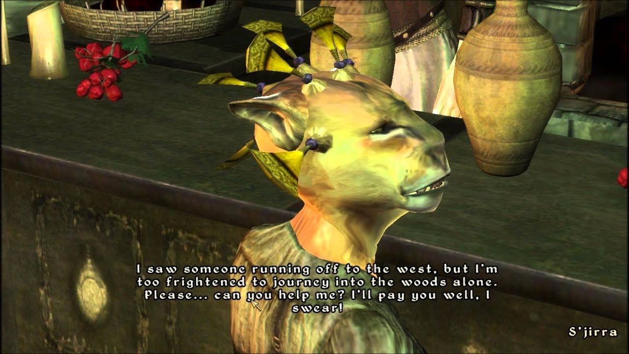 Oblivion Complete Playthrough; Part 99 - Charcoal Cave & Pothole ...
