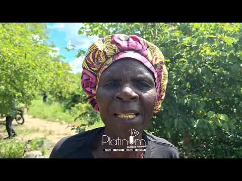 Mapurisa eZRP ndibatsireiwo! Arikuda kundiuraya pamwechete nemhuri ...