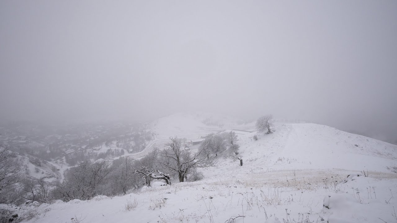 Nature moments #2 — Snowfall in the mountains near Dilijan (Armenia ...
