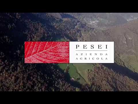 PESEI 2019 FINE ESTATE