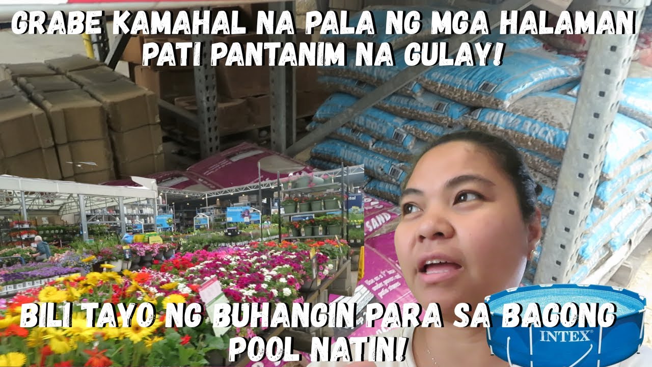 BUHAY AMERIKA: MAGTINGIN TAYO NG MGA GULAY NA PANTANIM! gRABE NA PALA ...