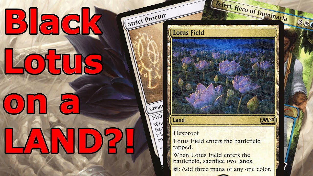 MY LAND TAPS FOR THREE! UW Lotus Field (Pioneer UW Control / Lotus ...