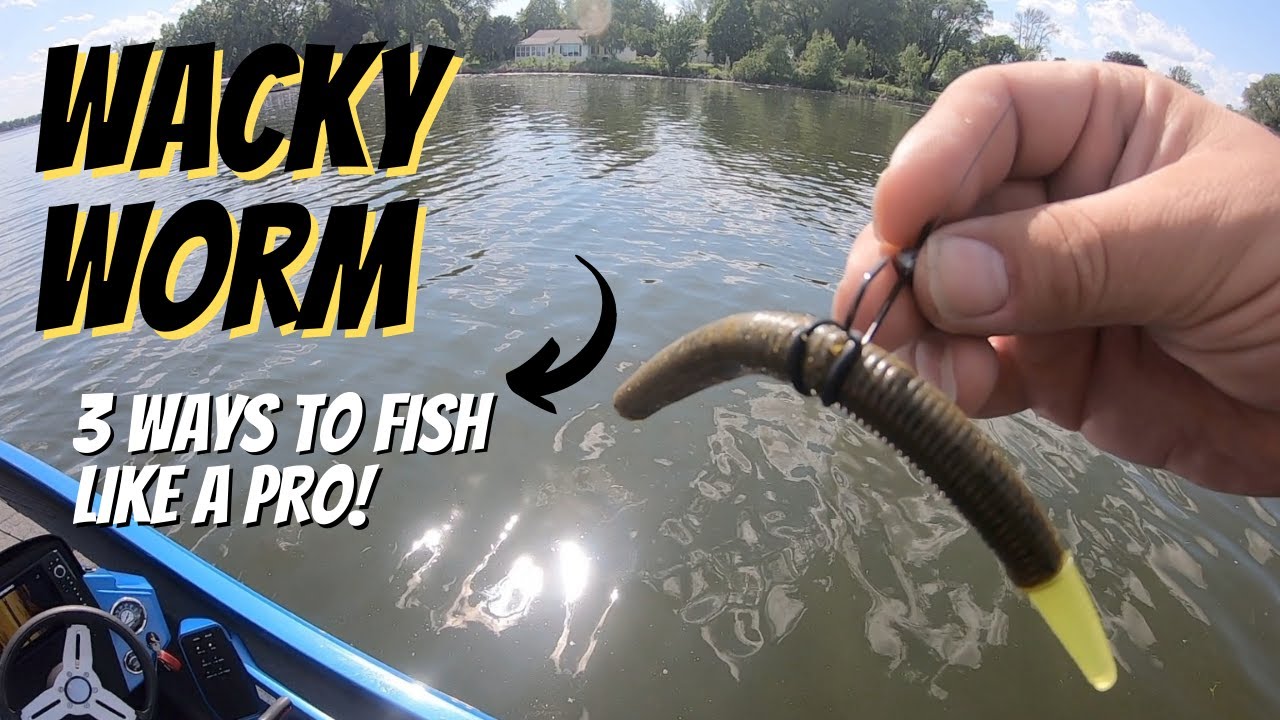 How to Wacky Worm Fish like a Pro - YouTube
