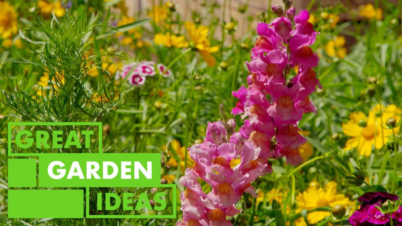 Spring Gardening Hints and Tips | GARDEN | Great Home Ideas - YouTube