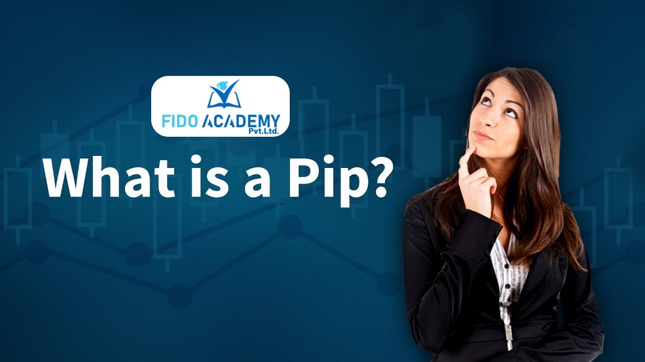 Pip | The Fido Academy - YouTube