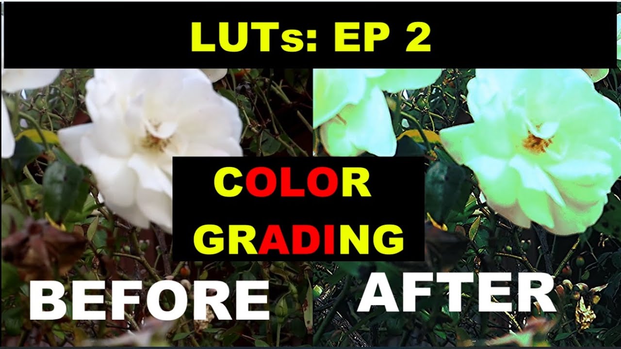 LUT Magic: Achieving Stunning Looks in VideoPad - YouTube