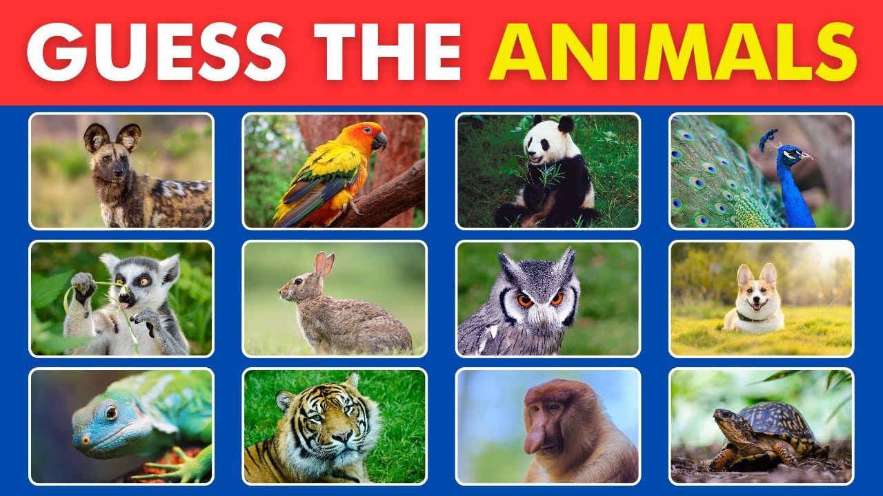 Guess the Animal by the Clue 🐯– How Smart Are You? English Quiz ...
