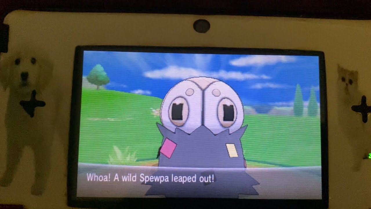 Shiny Spewpa! After 464 Berry Tree SR’s | Pokémon Y - YouTube