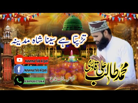 tarap ta he seena shah e madina muhammad talib ali qadri - YouTube
