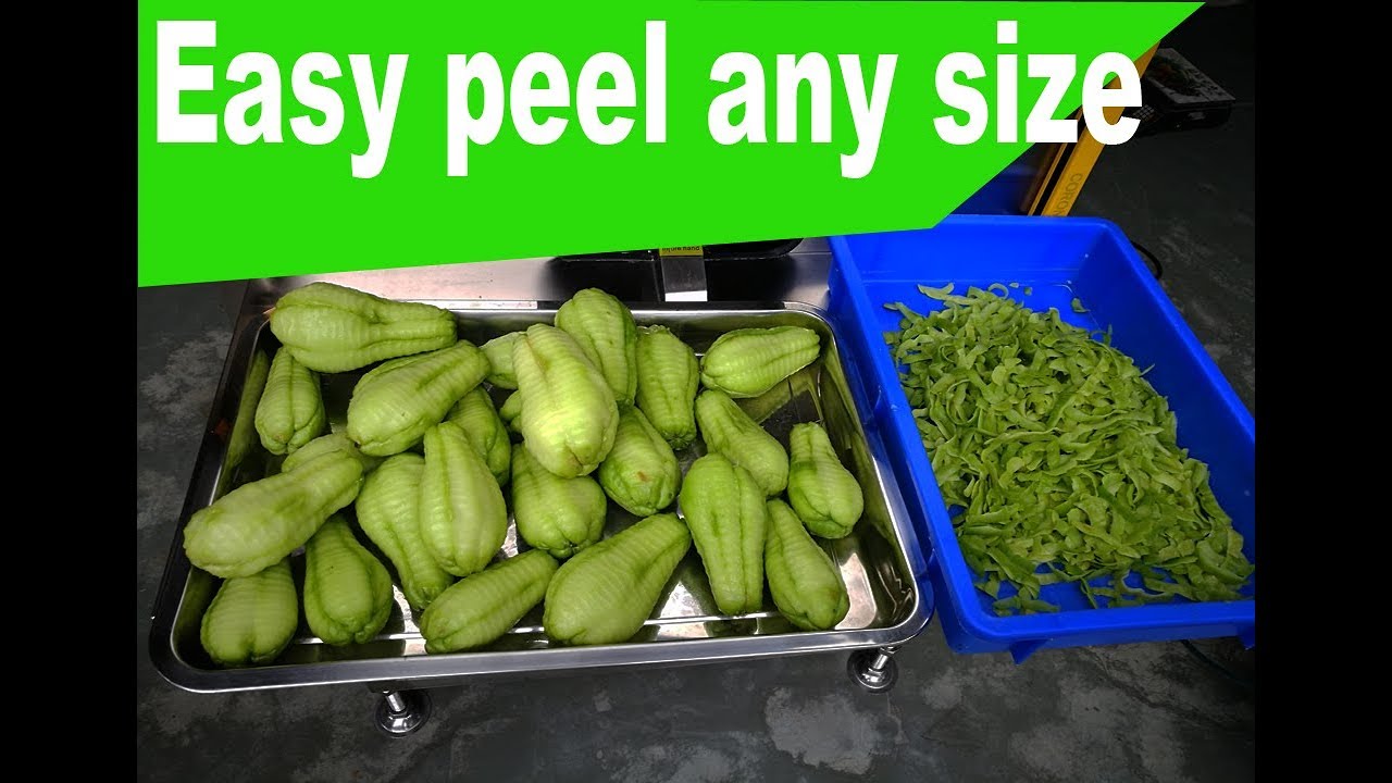 Automatic Chayote squash peeling machine peel chayote easy and fast ...