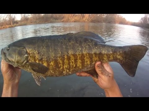 Lure Fishing #104 - Small River Fishing for Walleye, Big Smallmouth ...