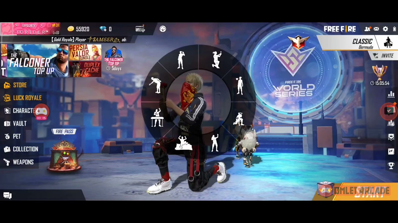 Collection video FF - YouTube