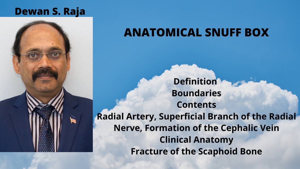 ANATOMICAL SNUFF BOX - YouTube