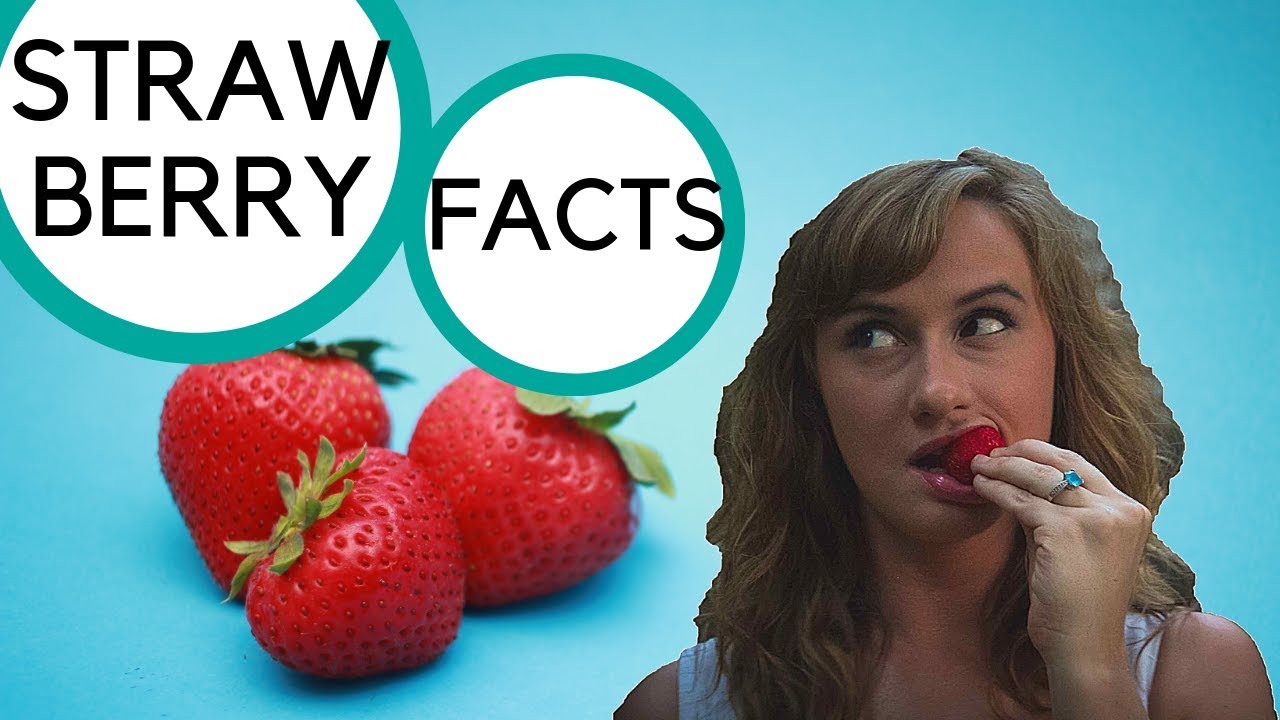 Fun Strawberry Facts! - YouTube