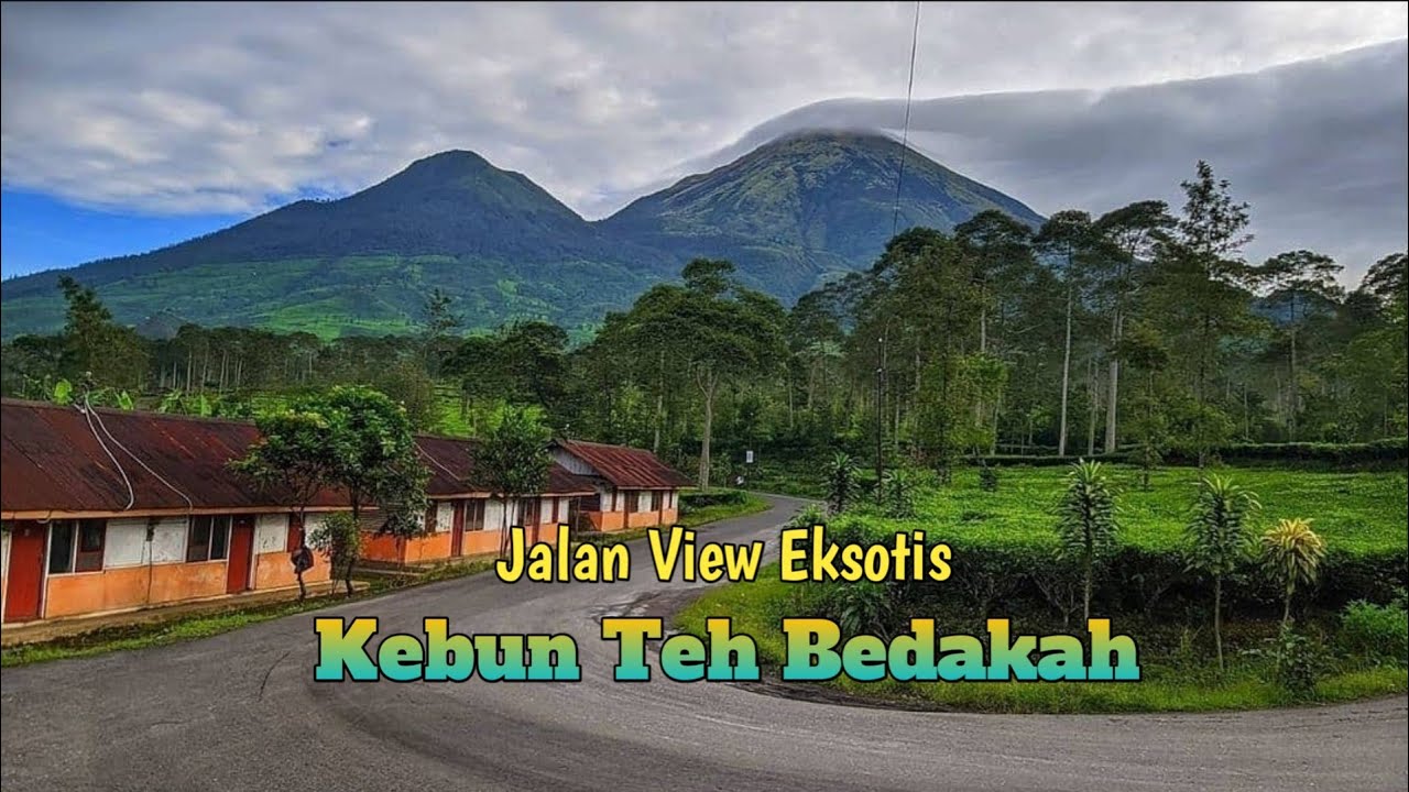 jalan bedakah dengan view kebun teh terindah di wonosobo - YouTube