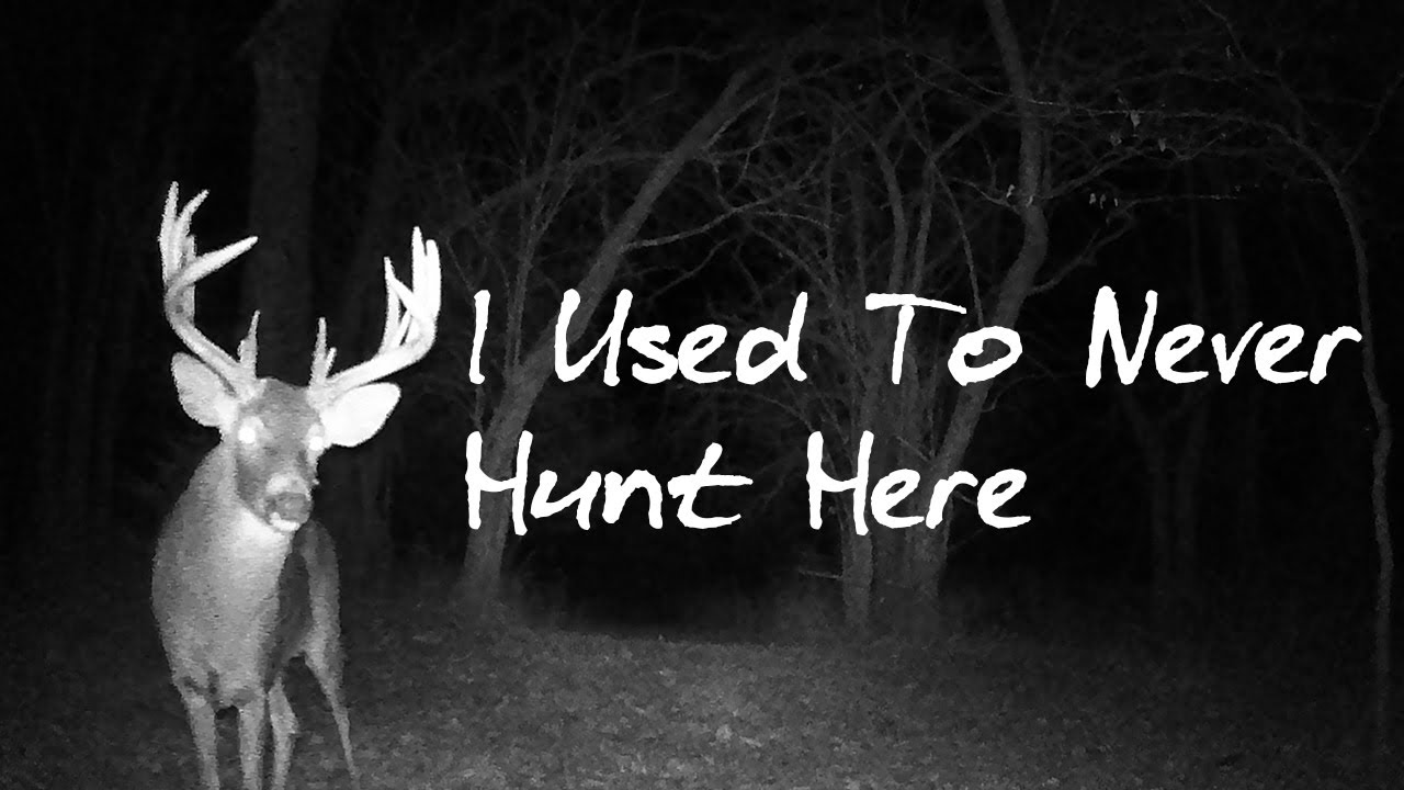 How To Make a Killer Deer Hunting Spot | Farming For Whitetails - YouTube