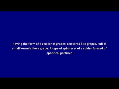 what is the meaning of aciniform - YouTube