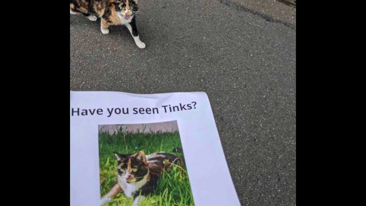 How to get every character in Crossroad Combat (CRC) (UPDATED) - YouTube