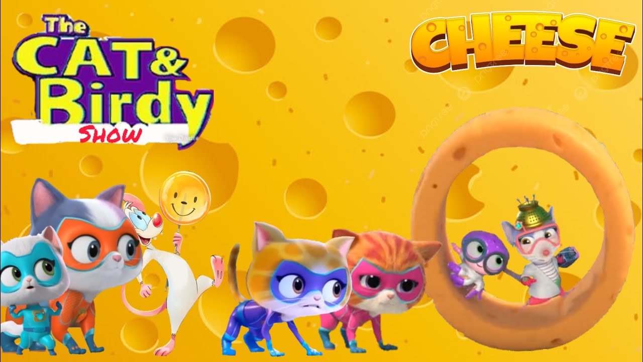 Cat n birdy The Cheese Song Music video 🧀🧀🧀 - YouTube