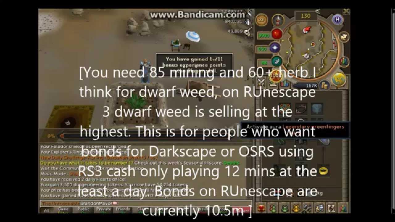 Runescape 3, Money Making Guide For High Level's - YouTube