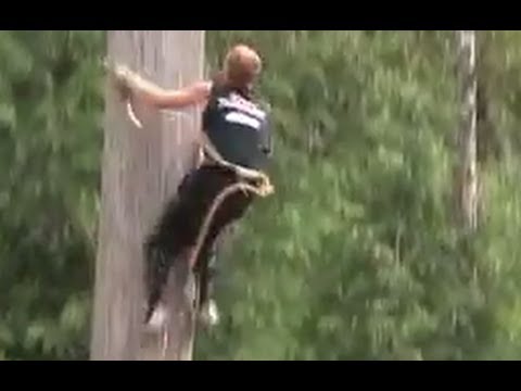 World's Fastest Speed Climber - Stirling Hart - YouTube