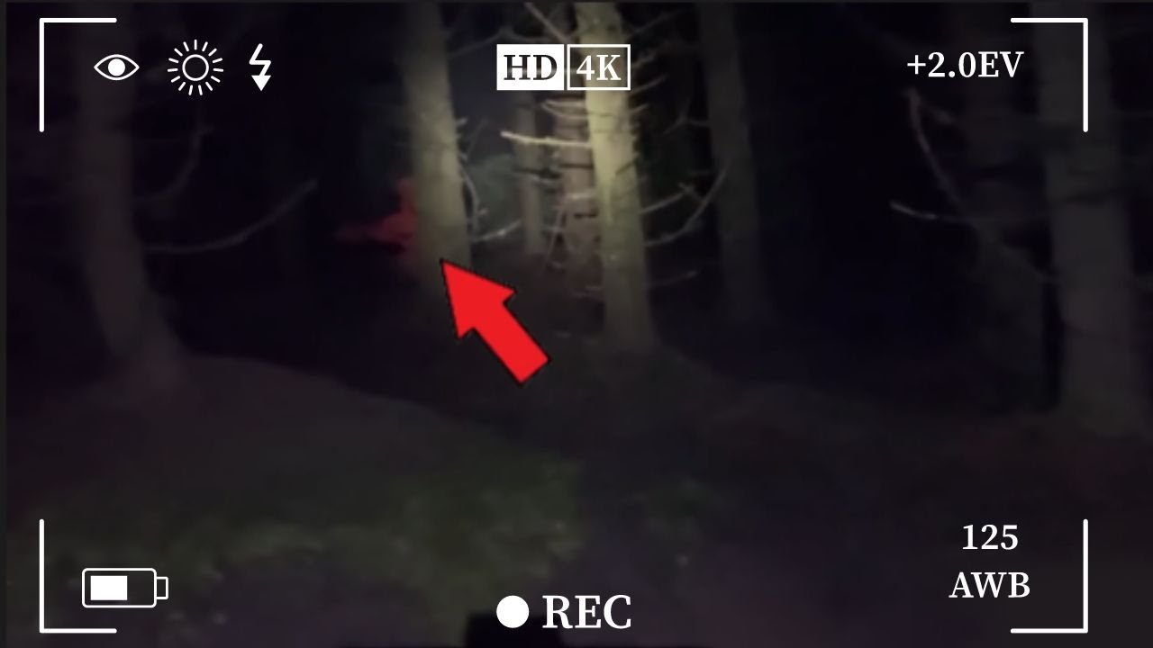 The Most Disturbing Camera Footage You Won't Believe Is Real - YouTube